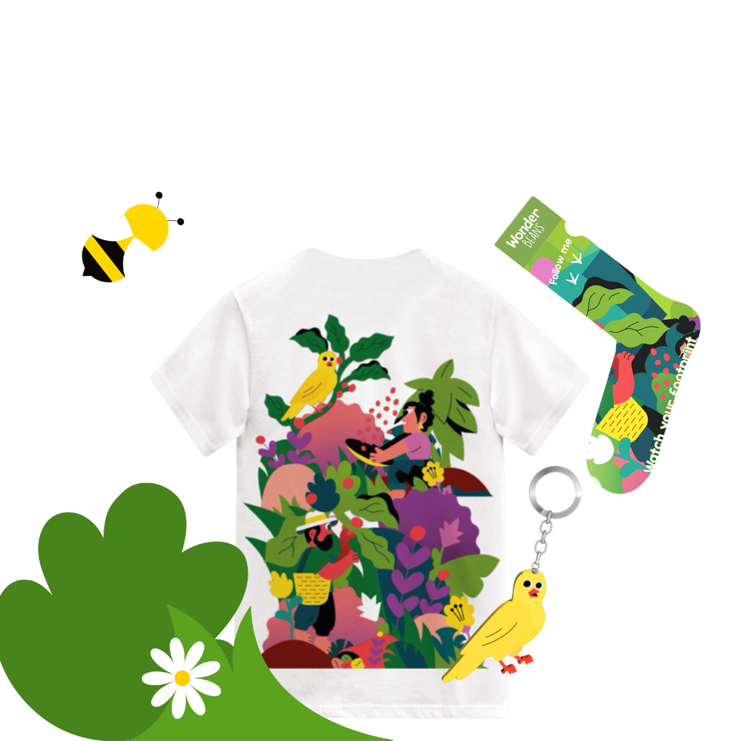 Brand Artifacts – Wonder Beans